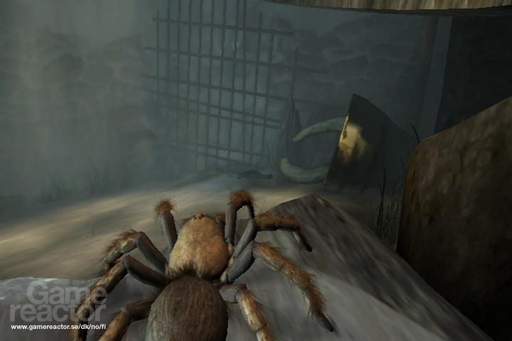 Deadly Creatures - Gamereactor UK