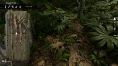 Green Hell - Gamereactor UK