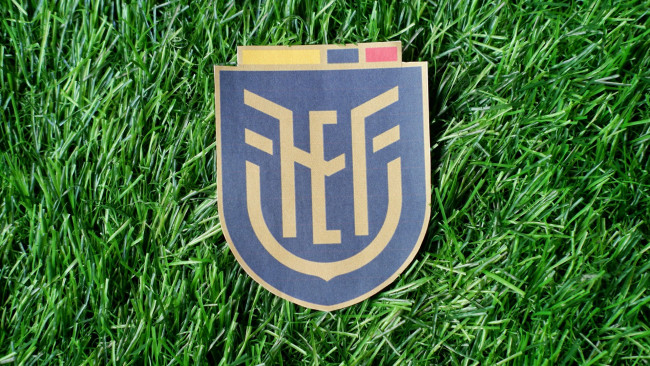 Ecuador Football Federation complains about treatment received in ...