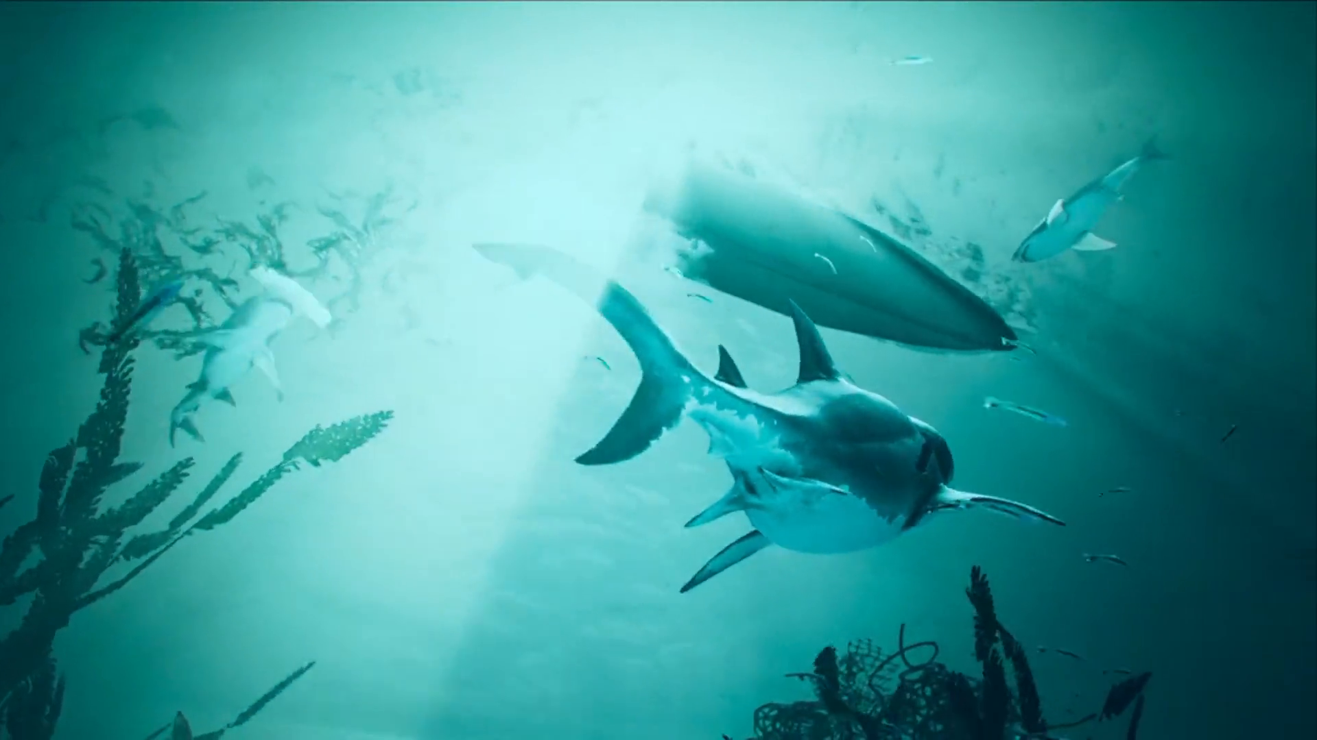 Tripwire's Maneater gets a new shark-filled trailer