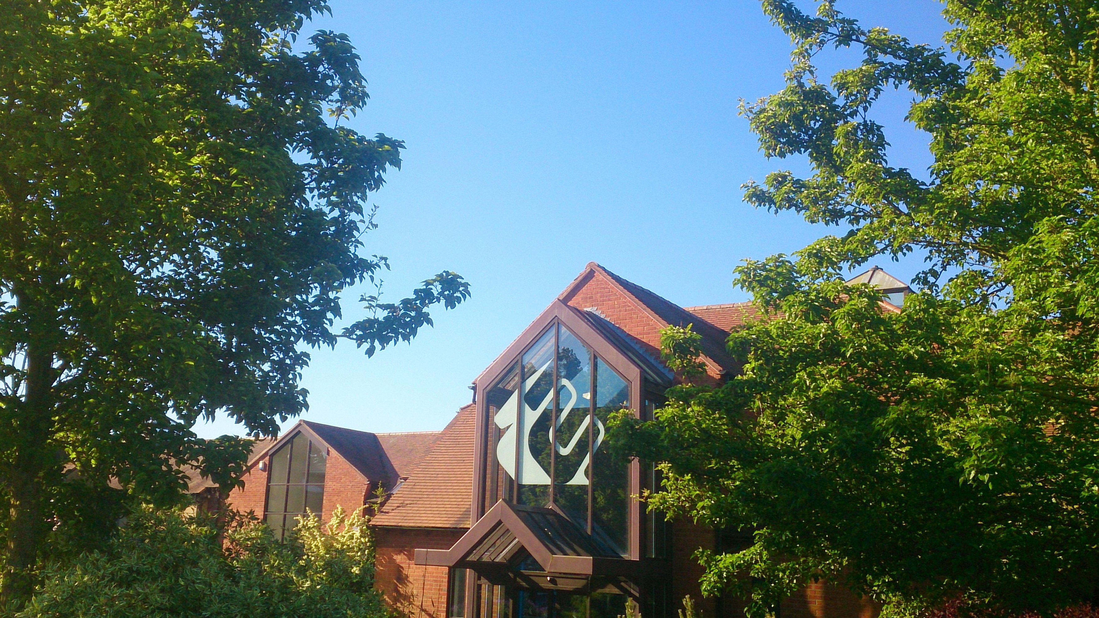 Codemasters is working on a brand new multiplayer IP - - Gamereactor