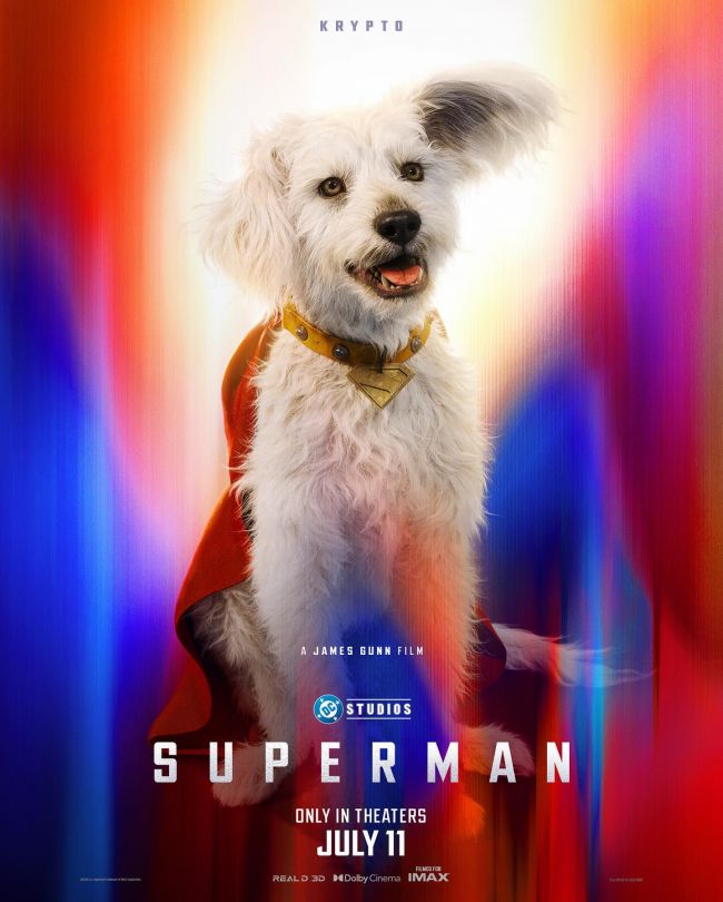 Superman's dog increases searches for rescue dogs by a whopping 513%