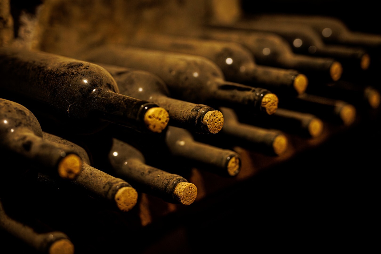 Stalin's incredible wine collection, some dating back to Napoleon and ...