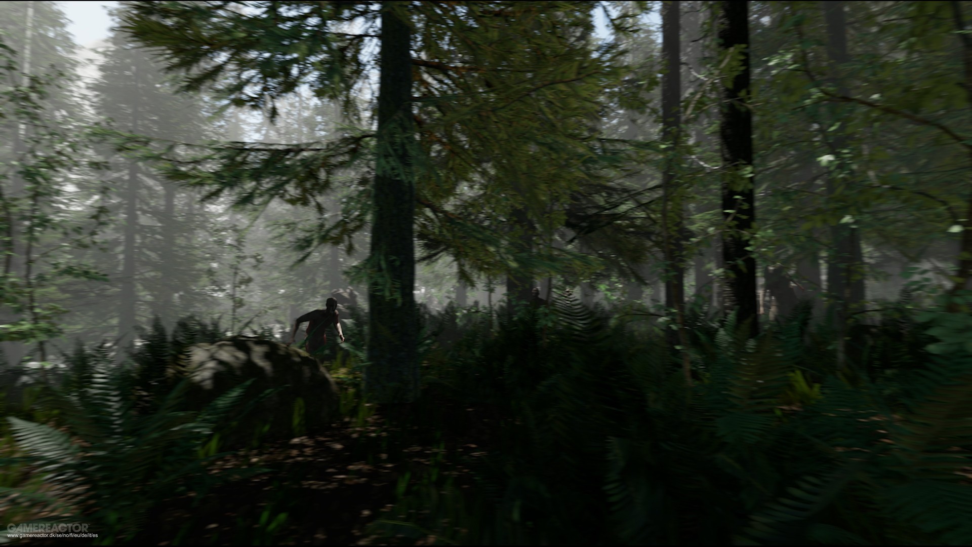 The Forest - Gamereactor UK