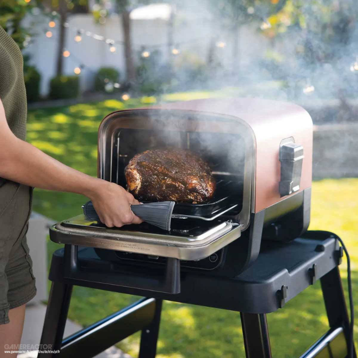 Ninja Woodfire Outdoor Oven