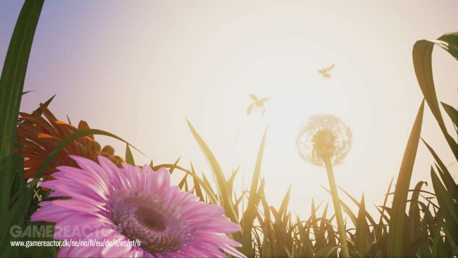 Insects is an interactive experience for Xbox One X - - Gamereactor