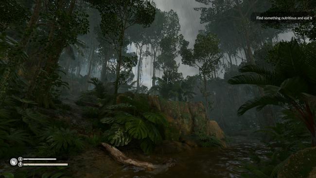 Green Hell - Early Access Preview - Gamereactor