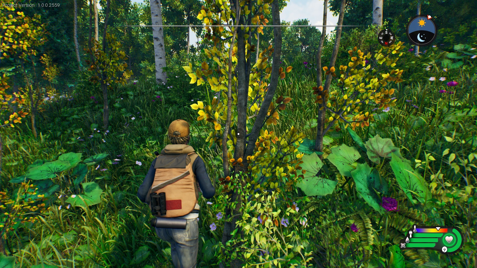 Open Country - Preview Impressions Preview - Gamereactor