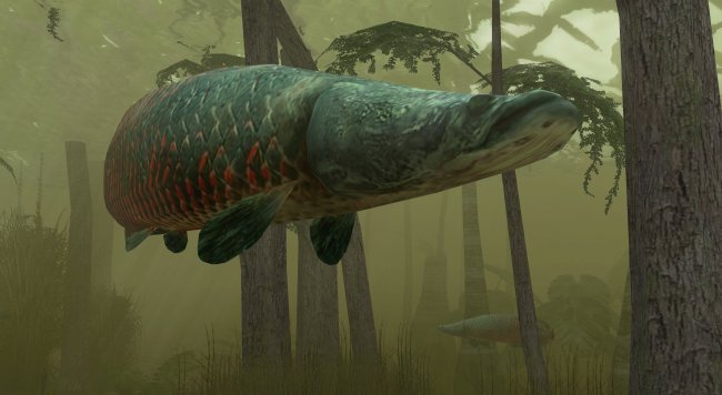 Endless Ocean 2 Review - Gamereactor