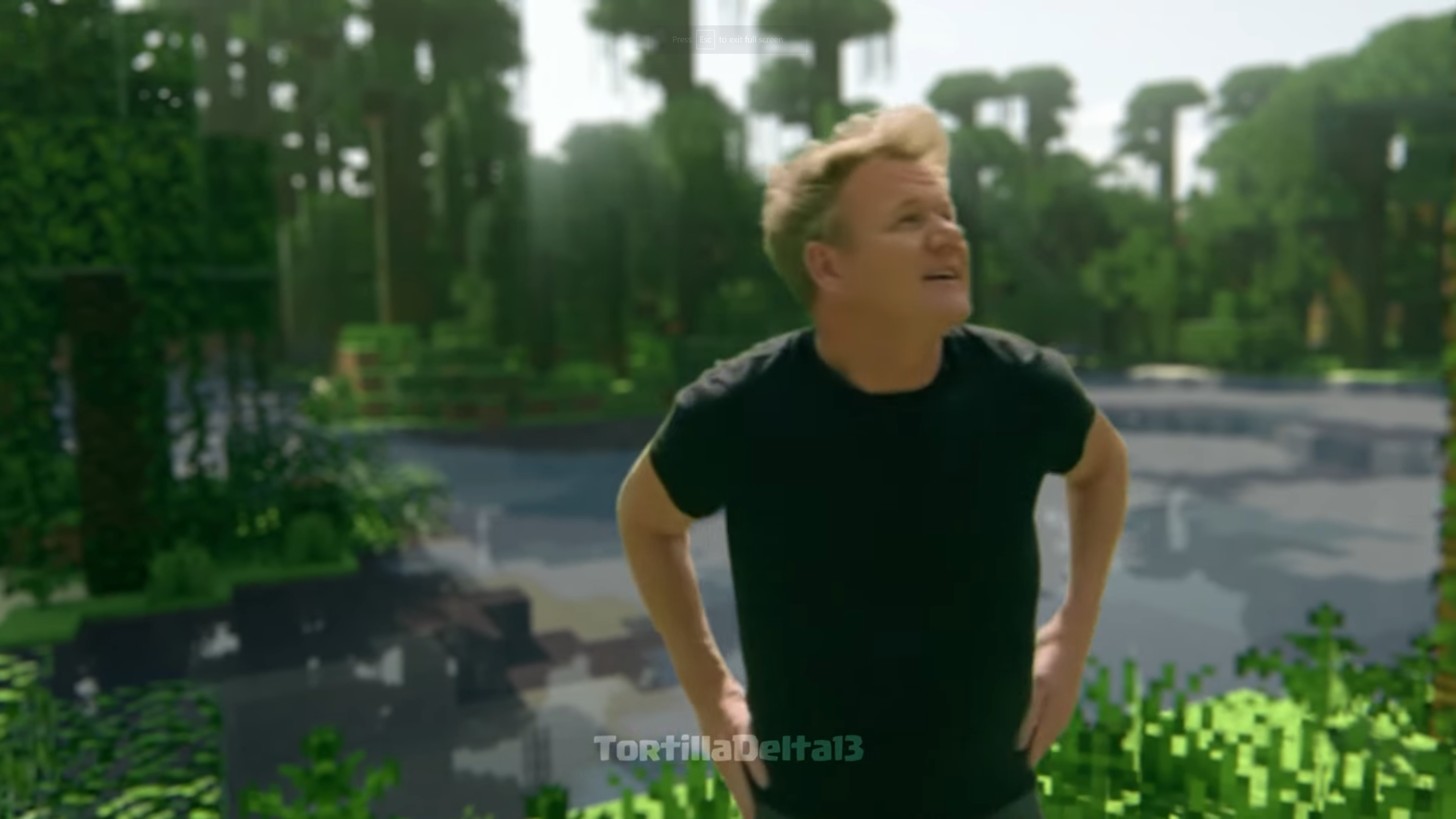 Gordon Ramsay takes on Minecraft in this hilarious fan-made video