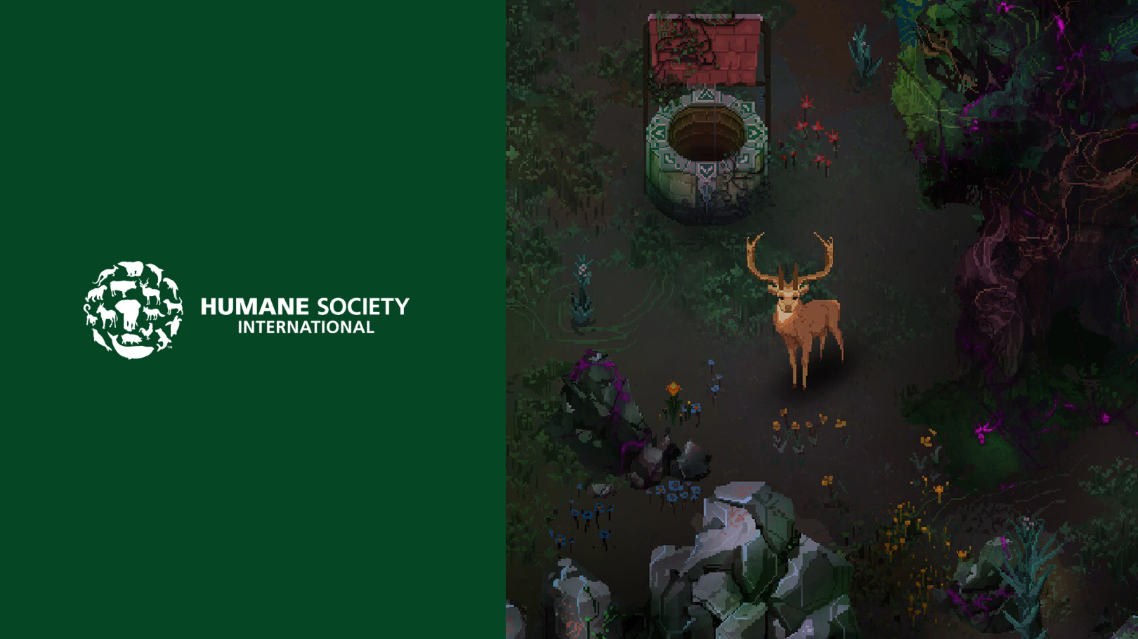 Dead Mage releases charity DLC Paws and Claws to help animals ...