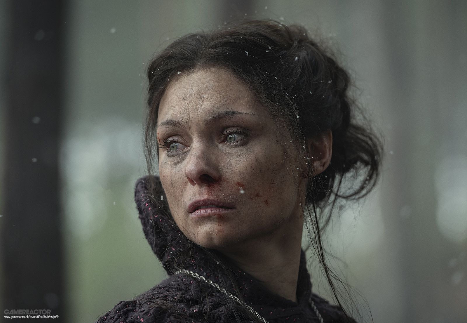 The Witcher S2 (Netflix)