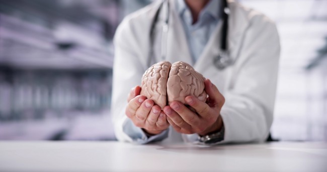 Scientists create first detailed atlas of how the human brain develops ...