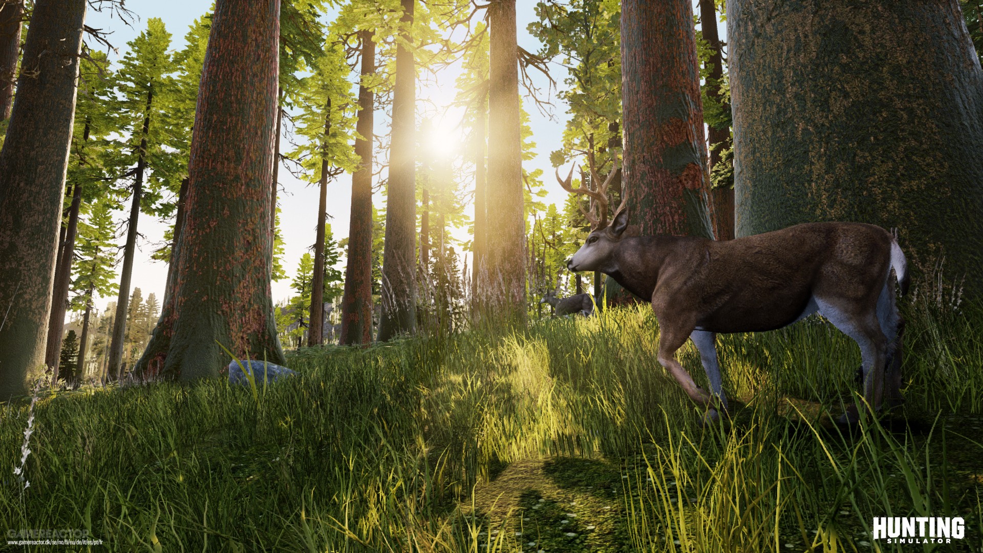 New screenshots show off Hunting Simulator