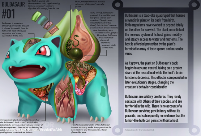 Anatomy book shows how Pokémon look on the inside - Pokédex 3D ...