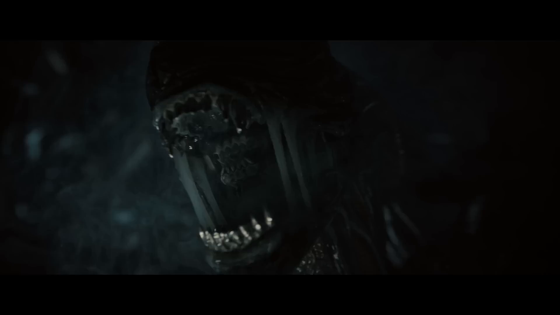 You can watch Alien: Romulus from the comfort of home this October