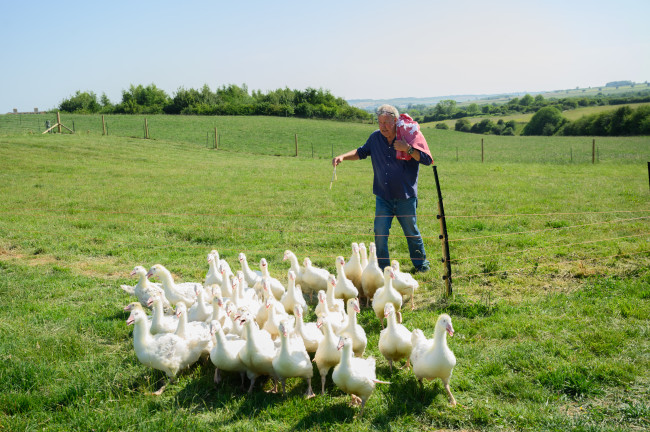 Clarkson's Farm to return for Season 5 in June