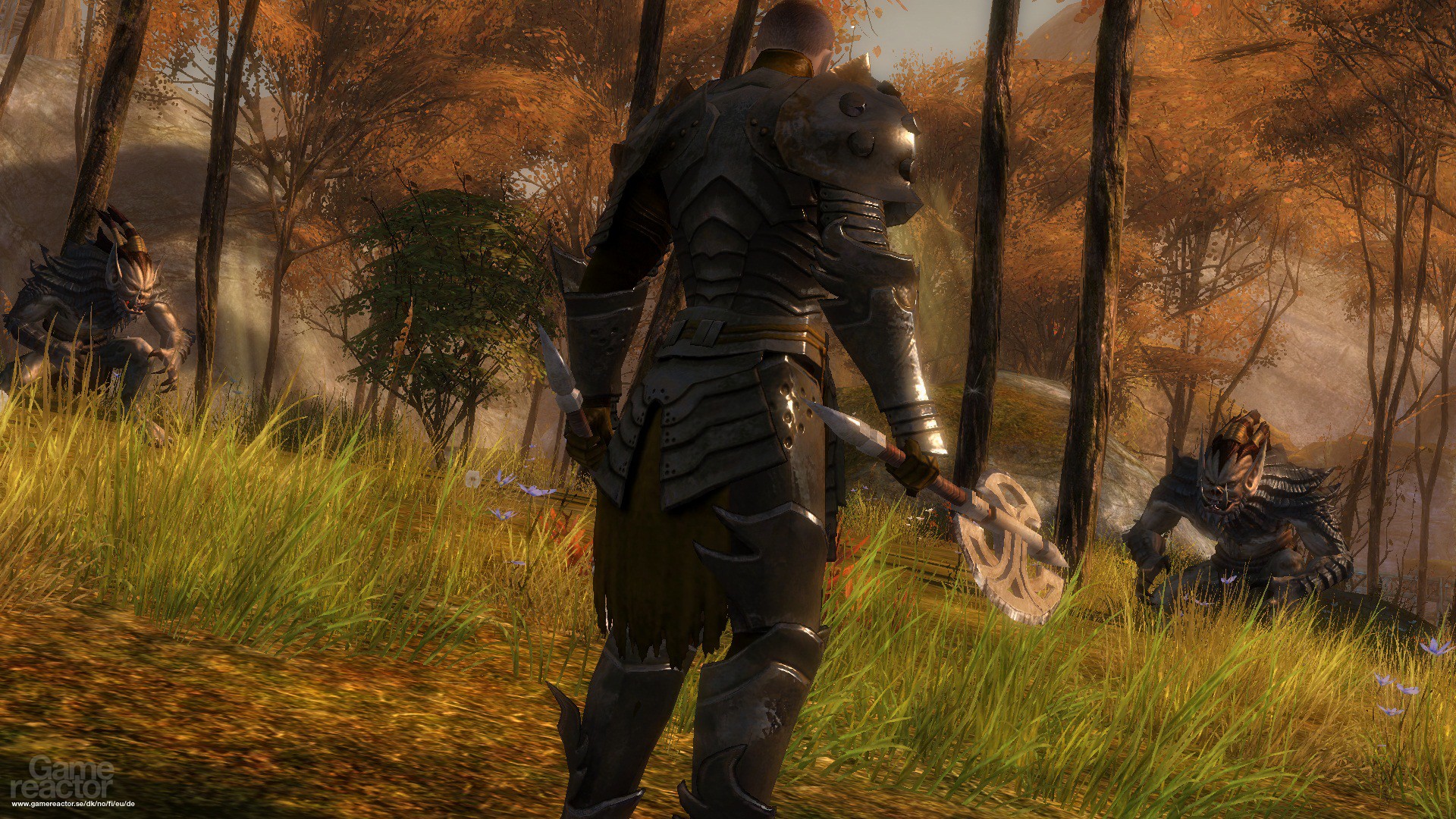 Guild Wars 2 screens