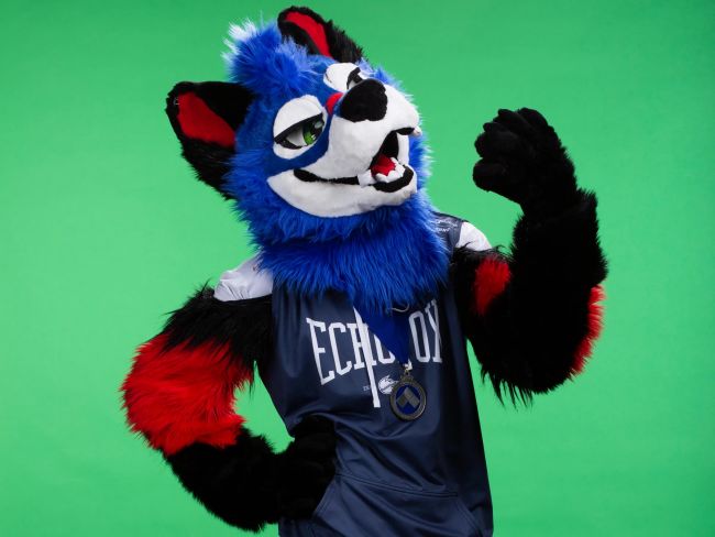 SonicFox vs Waka Flocka Flame drama explained - Mortal Kombat 1 ...