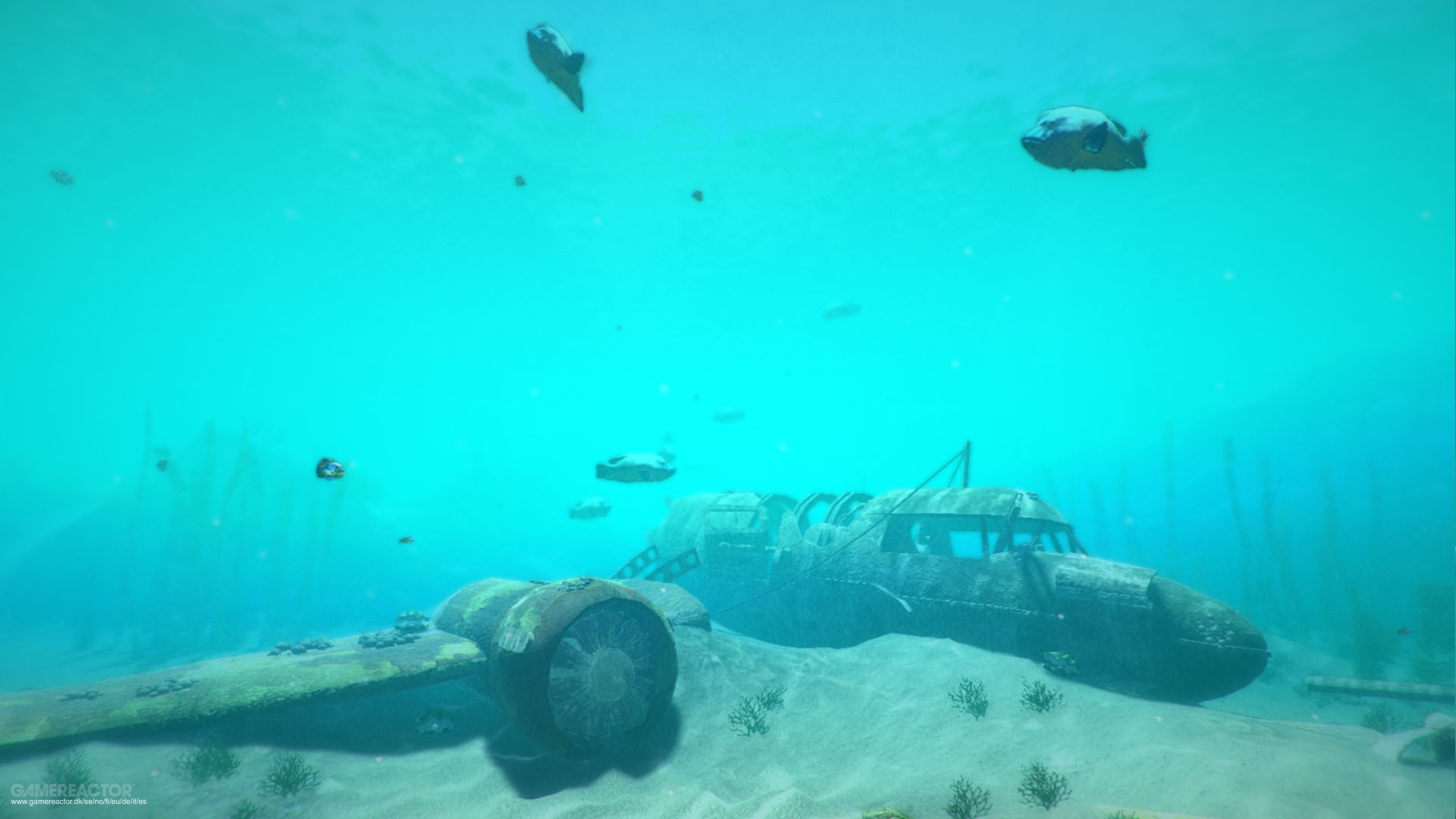 World of Diving plunges into Early Access