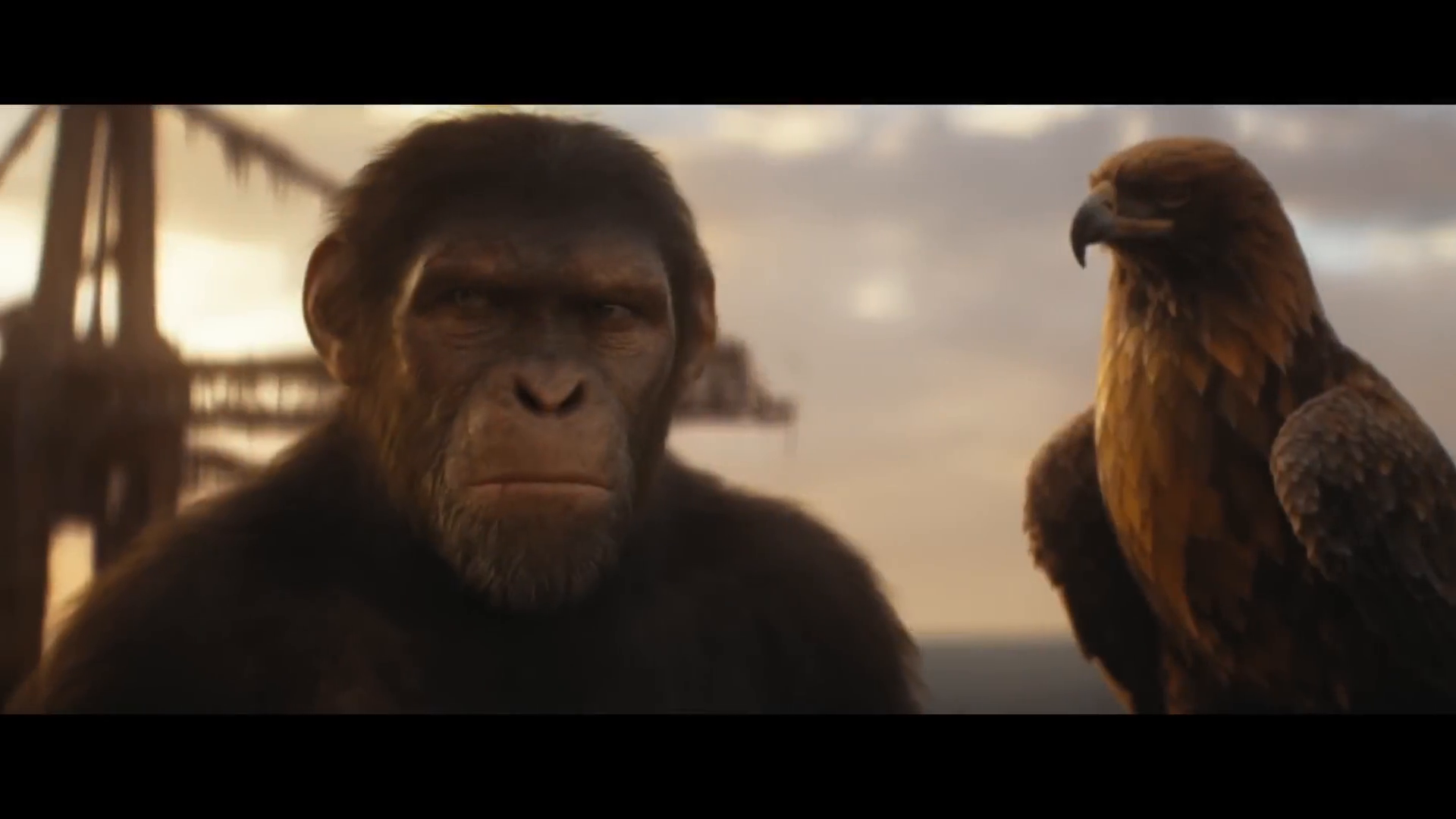 Kingdom of the Planet of the Apes scores a $129 million debut at the global box office