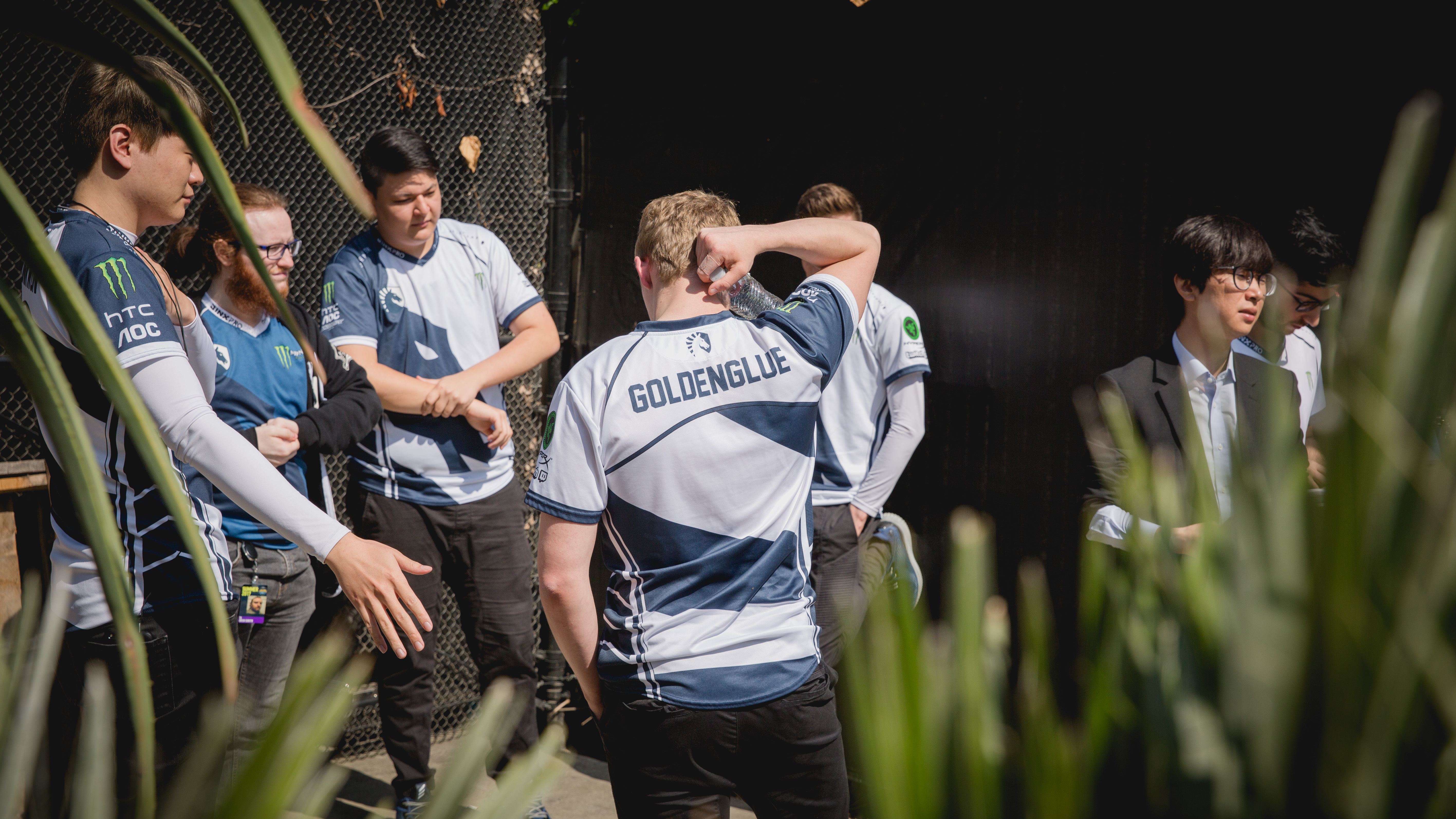 Team Liquid recruits Insanity to their squad - League of Legends ...
