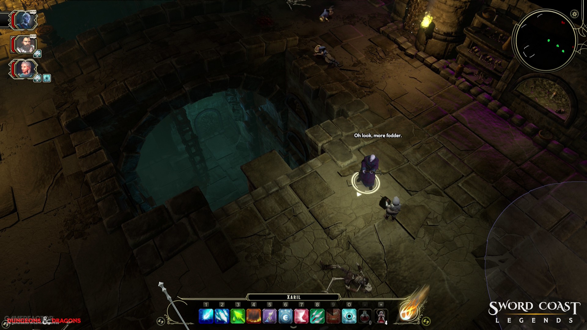 Sword Coast Legends Review - Gamereactor