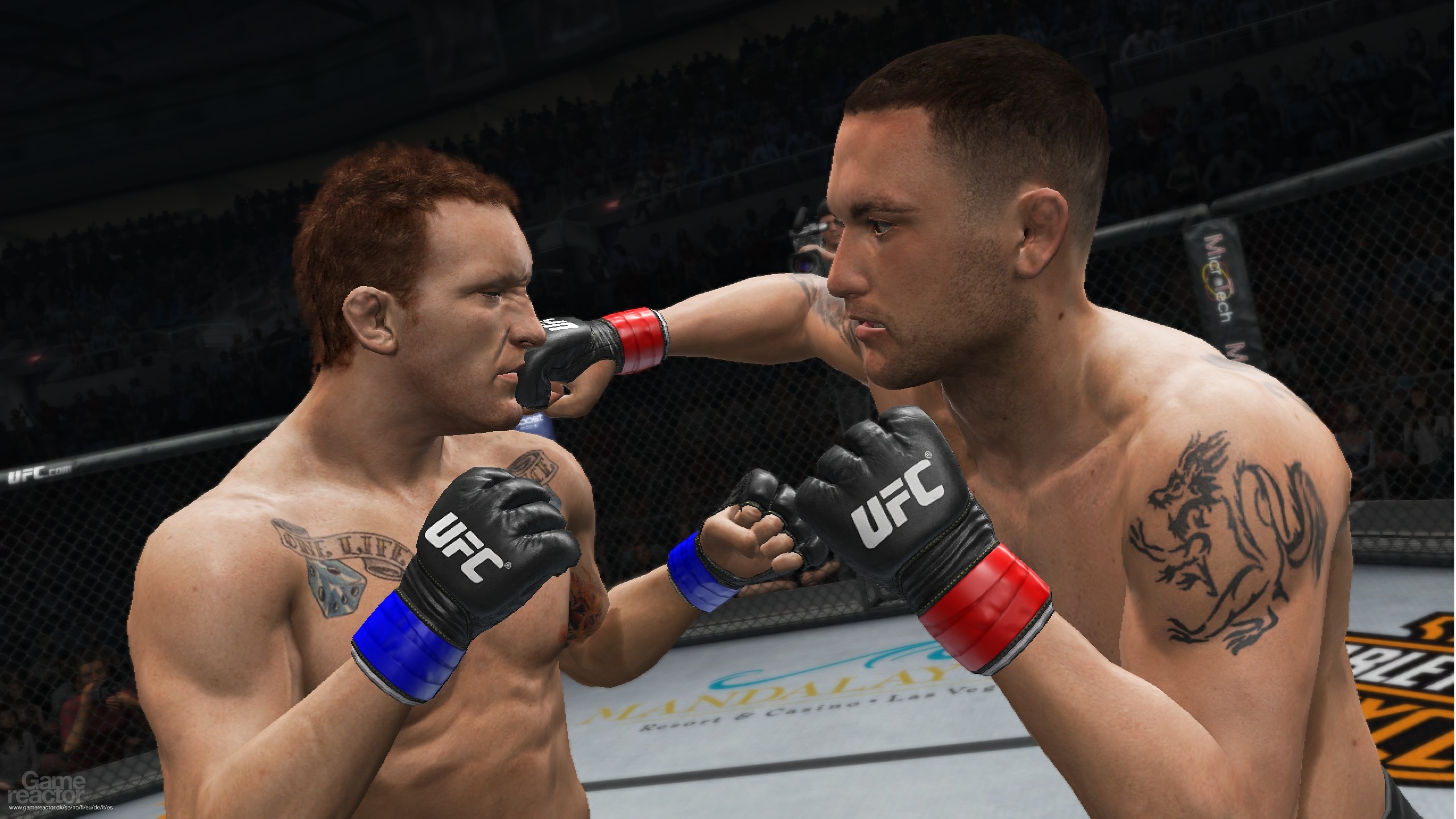 Vote for the UFC cover - UFC Undisputed 3 - Gamereactor