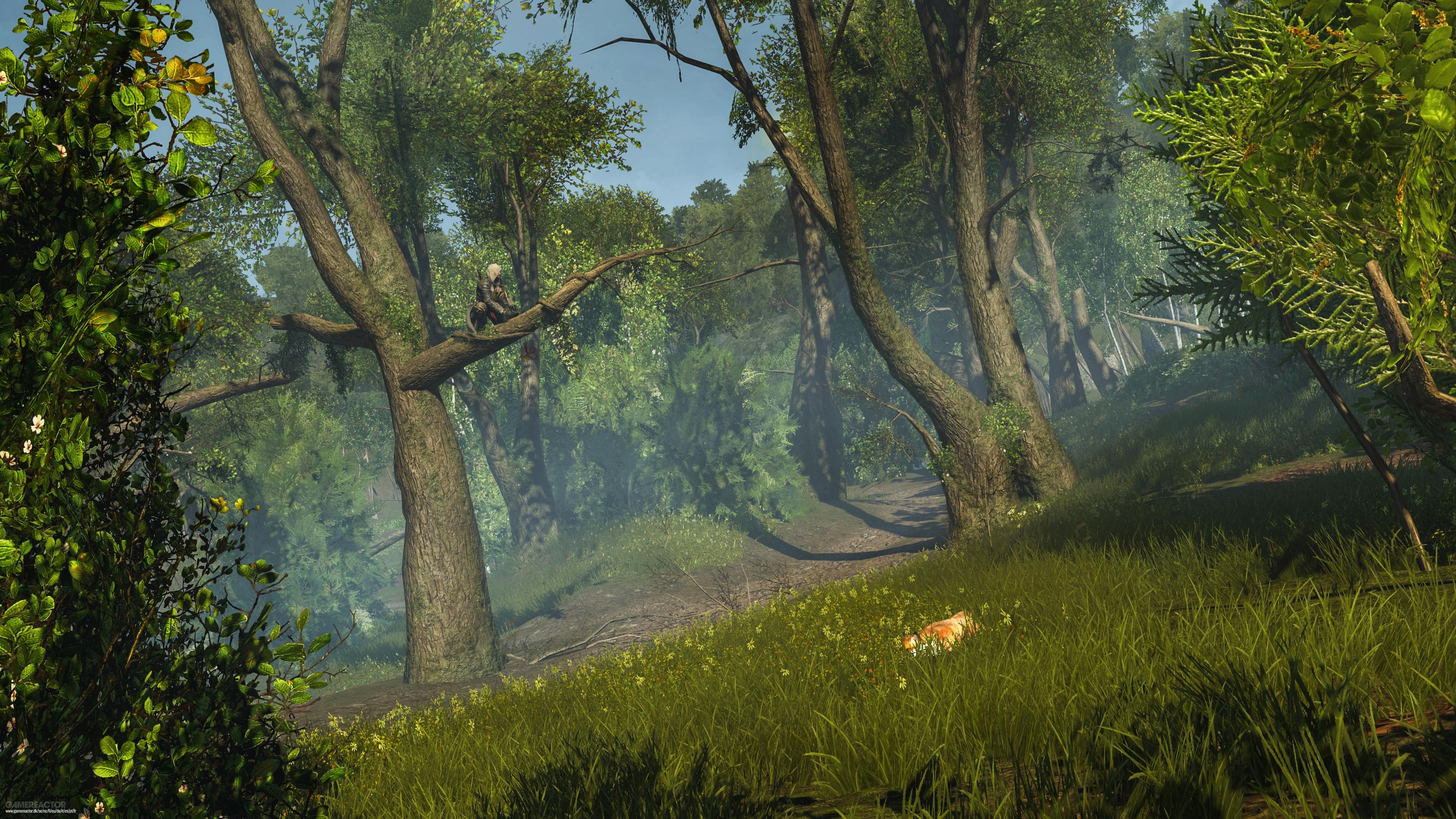 Assassin's Creed Rogue Remastered - Gamereactor UK