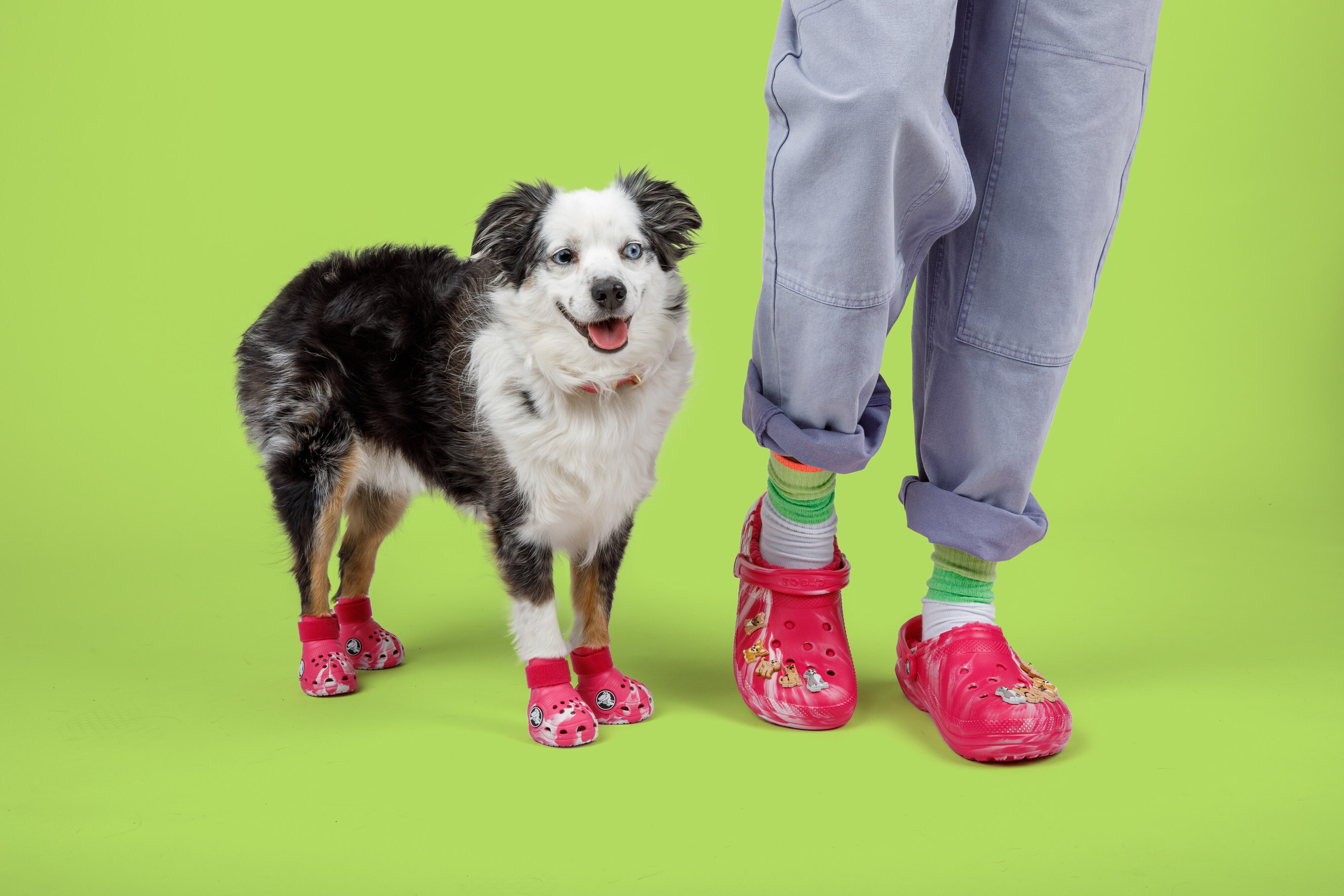 Crocs to celebrate Croc Day by debuting furry-friend fashion statement ...