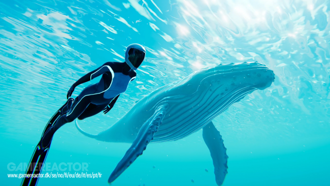 Beyond Blue Review - Gamereactor