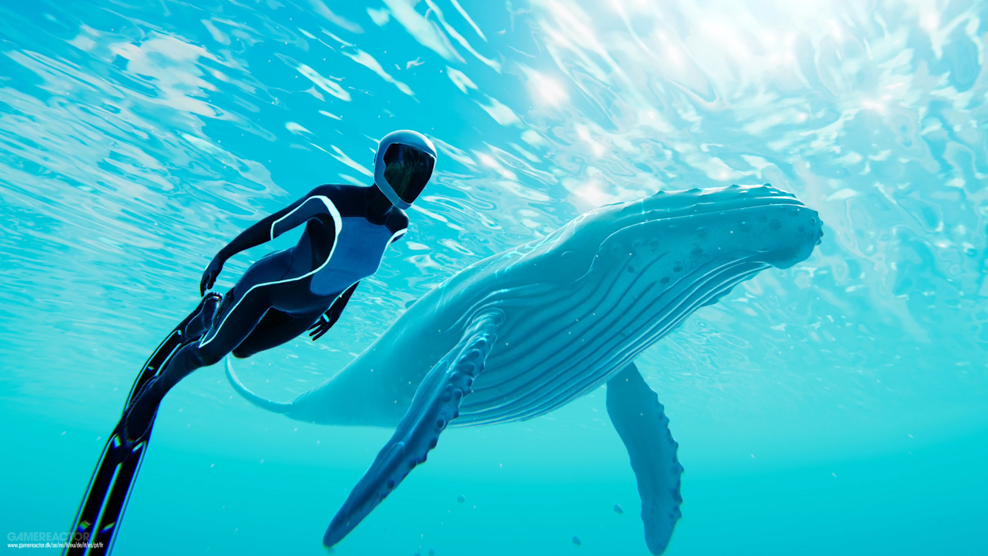 Beyond Blue Review - Gamereactor