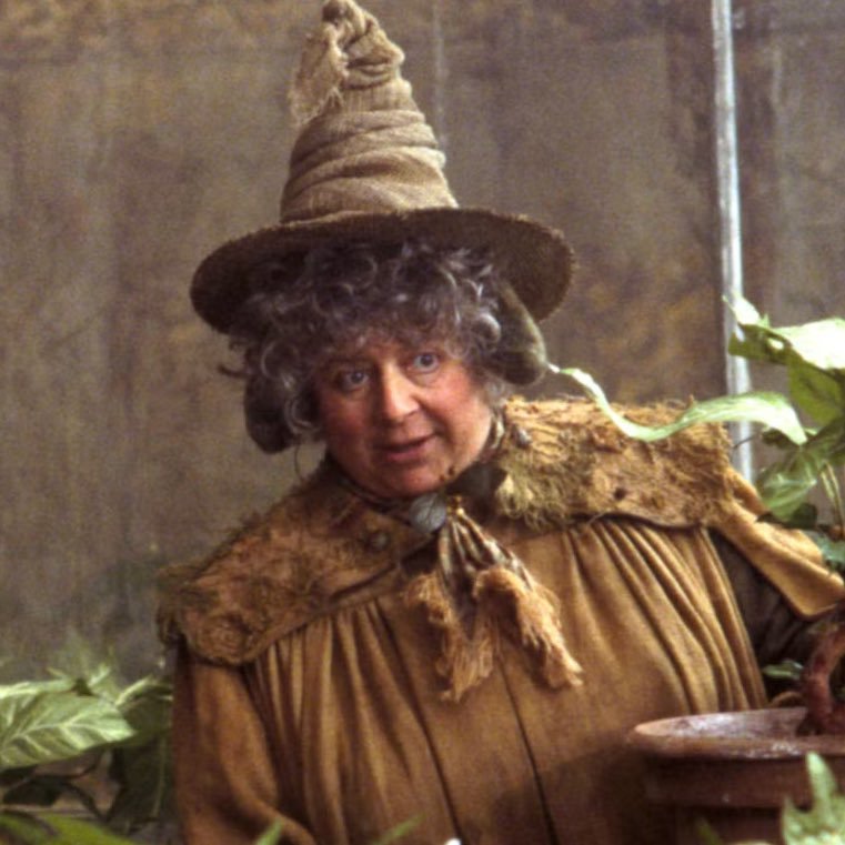 Professor Sprout actress claims adult fans "should be over" Harry ...