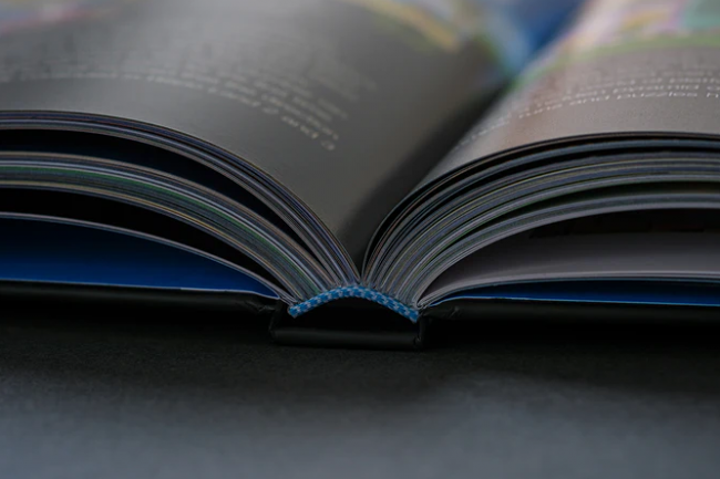 The GBA Pixel Book - - Gamereactor