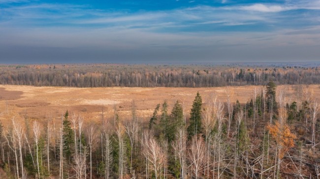 Russia and Belarus begin military drills near Poland - - Gamereactor