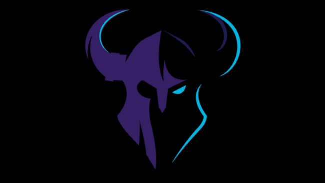 Minnesota Rokkr reveals 2025 Call of Duty League roster - Call of Duty ...