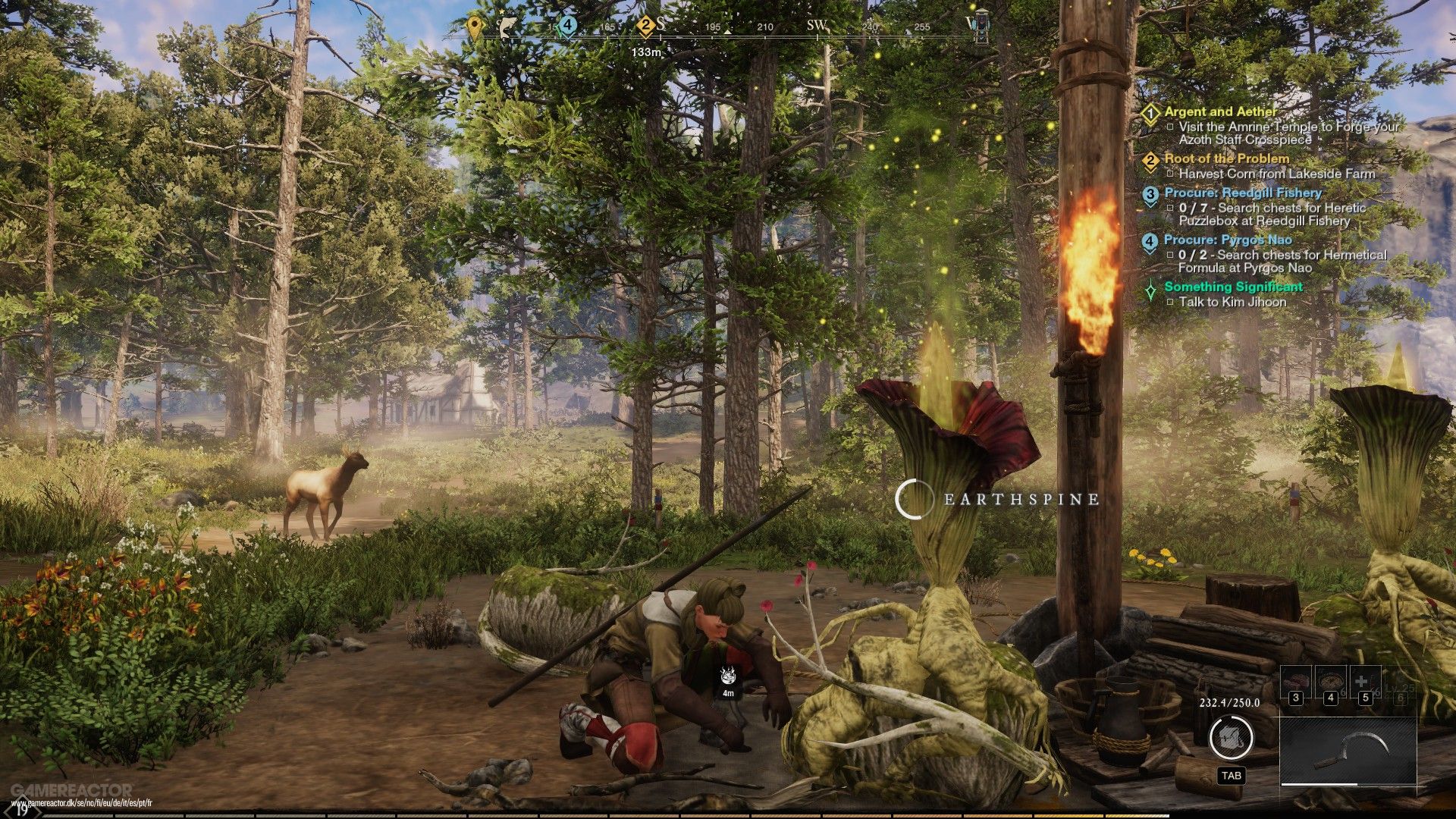 New World Review - Gamereactor