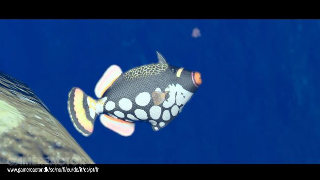 Endless Ocean Luminous Review - Gamereactor