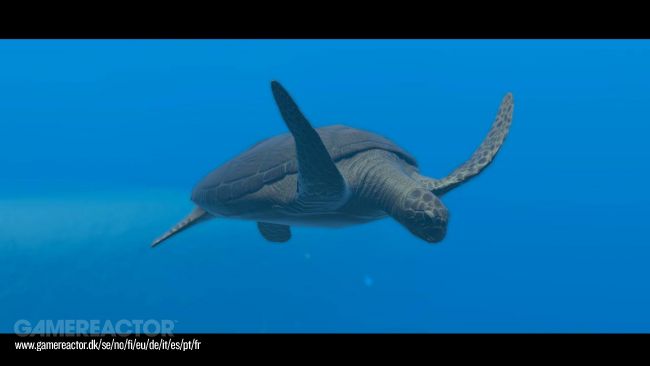 Endless Ocean Luminous Review - Gamereactor