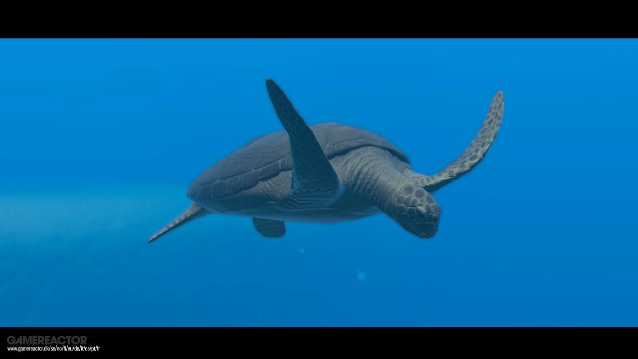 Endless Ocean Luminous Review - Gamereactor