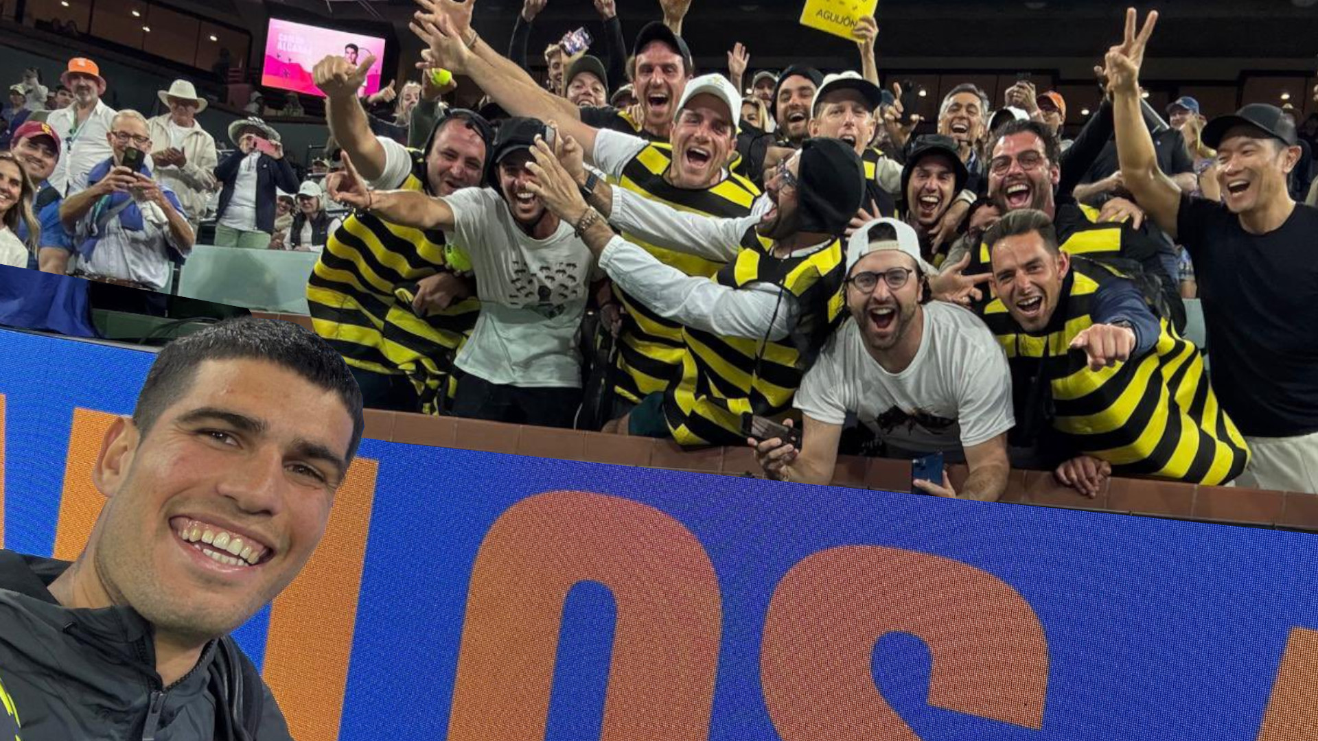 Carlos Alcaraz was cheered by a group of "bees" in his latest victory ...