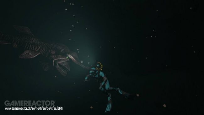 Endless Ocean Luminous Review - Gamereactor