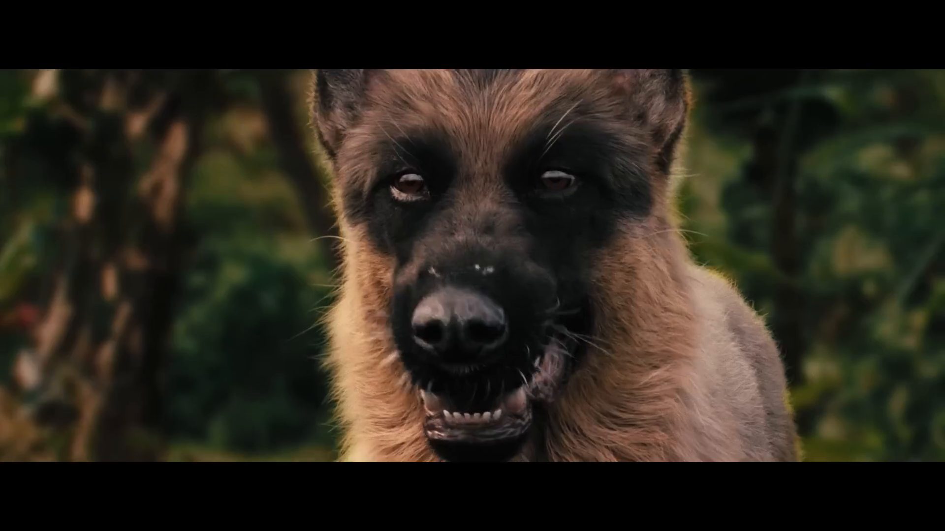 Hungry dogs hunt influencers in May's A Breed Apart