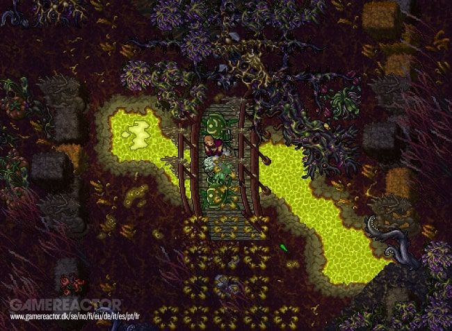 28 years after its original release, Tibia launches its fifth playable ...