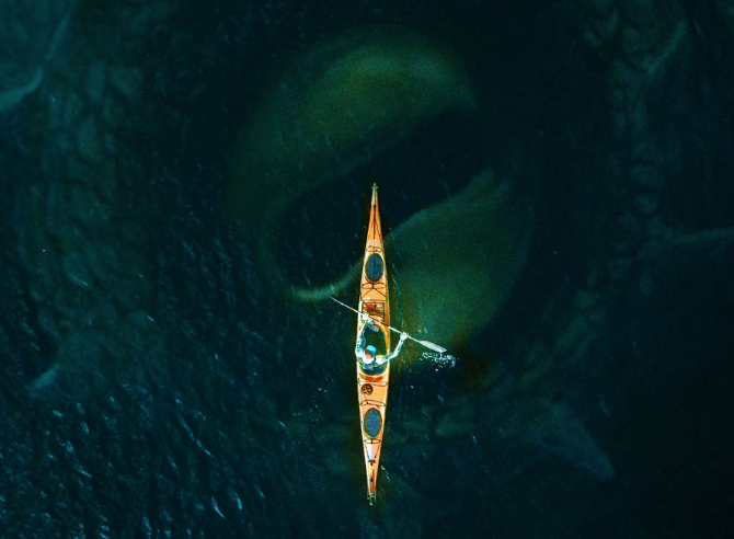 Norwegian monster movie Kraken breaks records before release