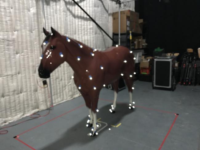 Ever wondered how you motion capture a horse? - - Gamereactor