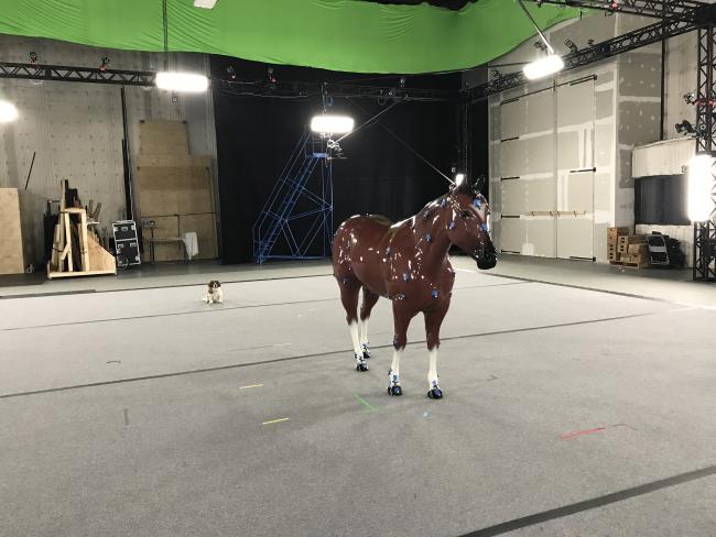 Ever wondered how you motion capture a horse? - - Gamereactor