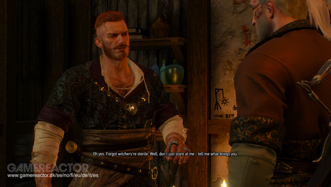 18 screens from the brand new The Witcher 3 expansion - The Witcher 3 ...