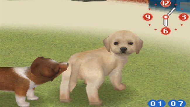 Nintendogs could be coming to mobile