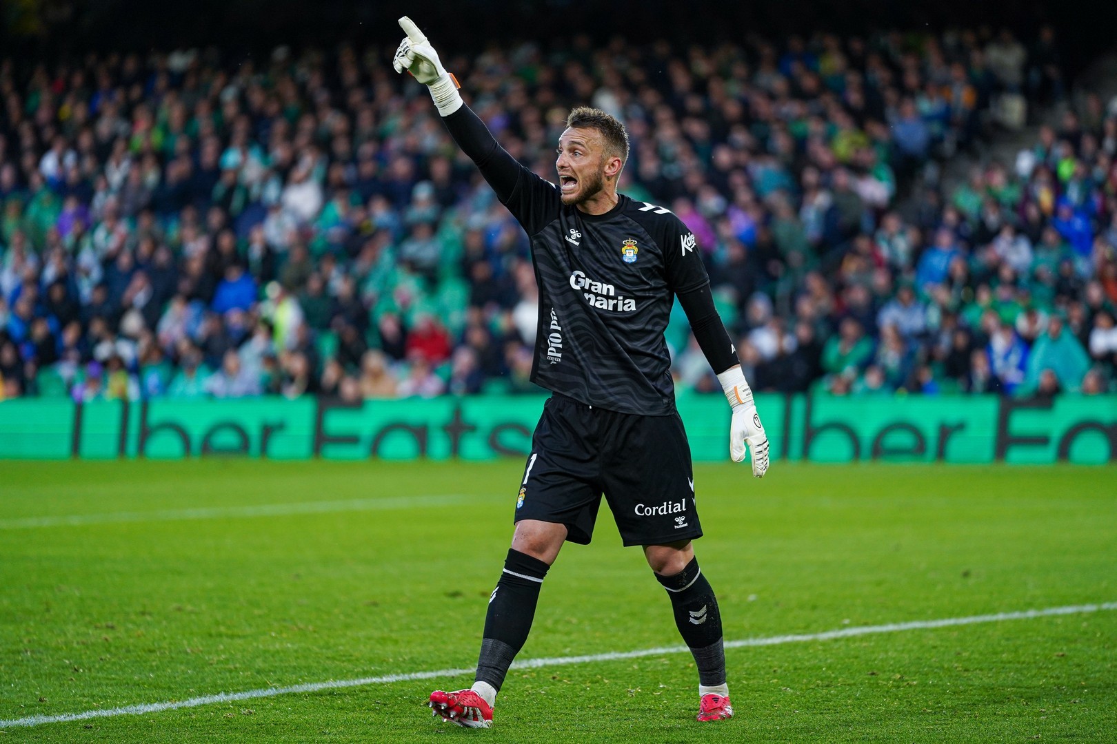 Dutch goalkeeper underwent successful operation after intestine ...